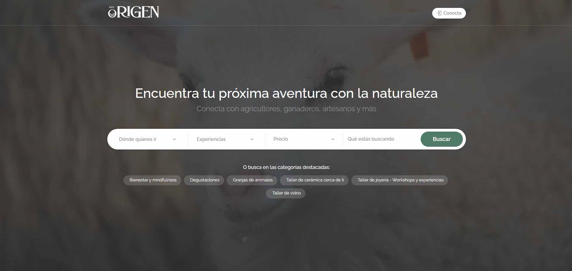 Qué es un apero | Be Origen