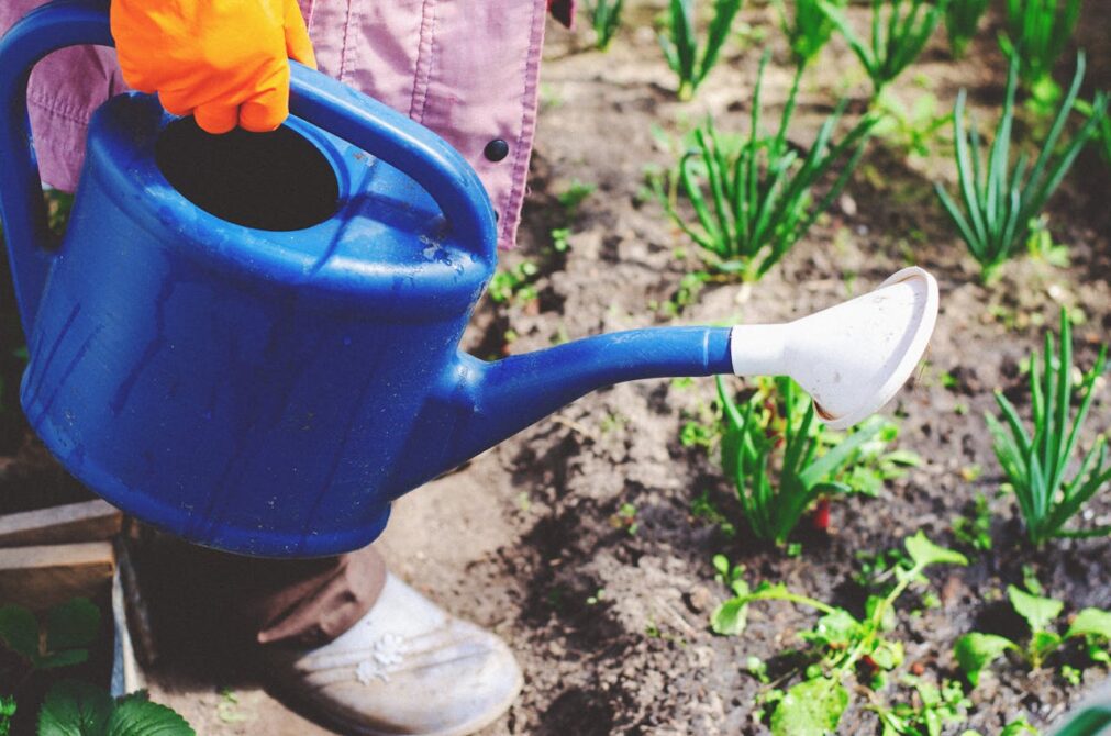 Huerto ecológico: cómo empezar y qué cultivar en casa | Be Origen